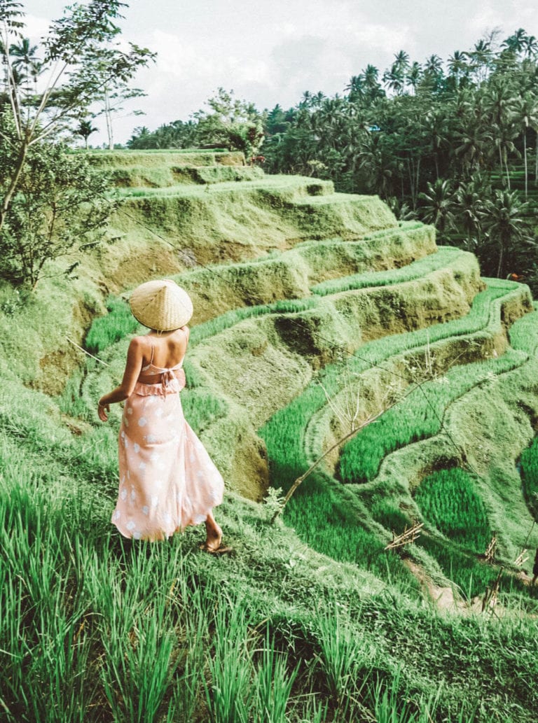 The Best Bali Day Trip: Waterfalls and Rice Terraces in Ubud ...