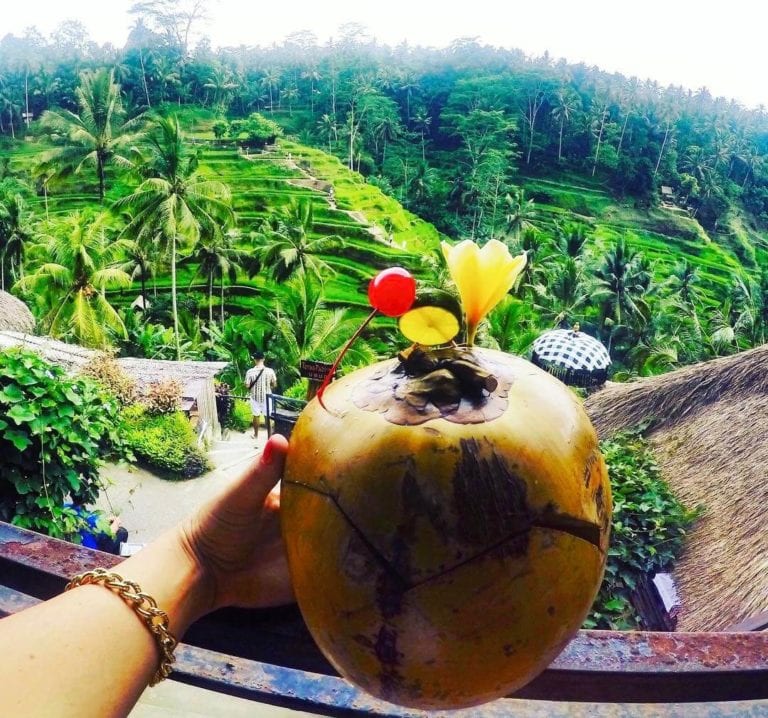 The Best Bali Day Trip: Waterfalls and Rice Terraces in Ubud ...