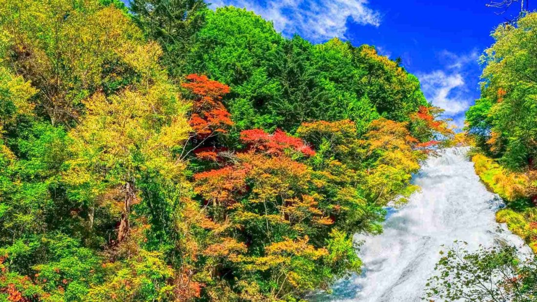 8 Must-Do's in Nikko, Japan That Will Make You Want To Add It To Your ...
