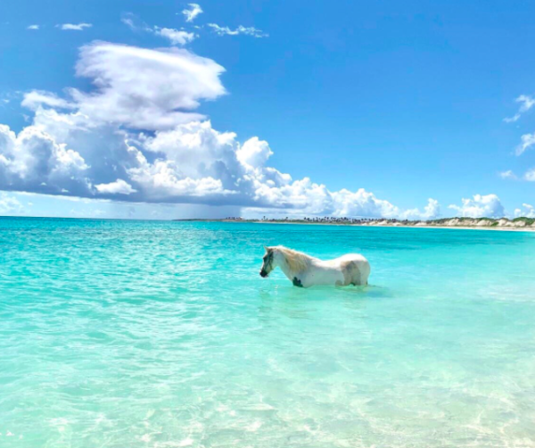 10 Fun Things To Do In Anguilla - JetsetChristina