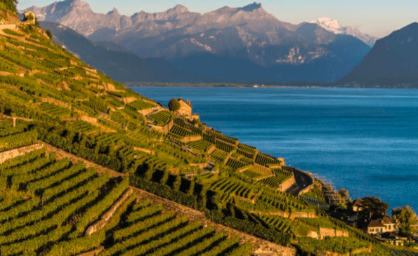5 Unexpected Wine Destinations Worth Traveling to - JetsetChristina