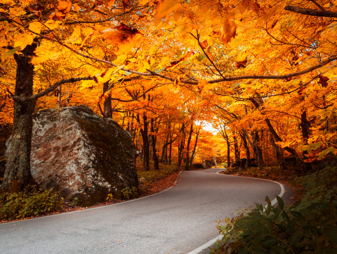 The Best Fall Trips to Take in The US - Where to travel in September ...