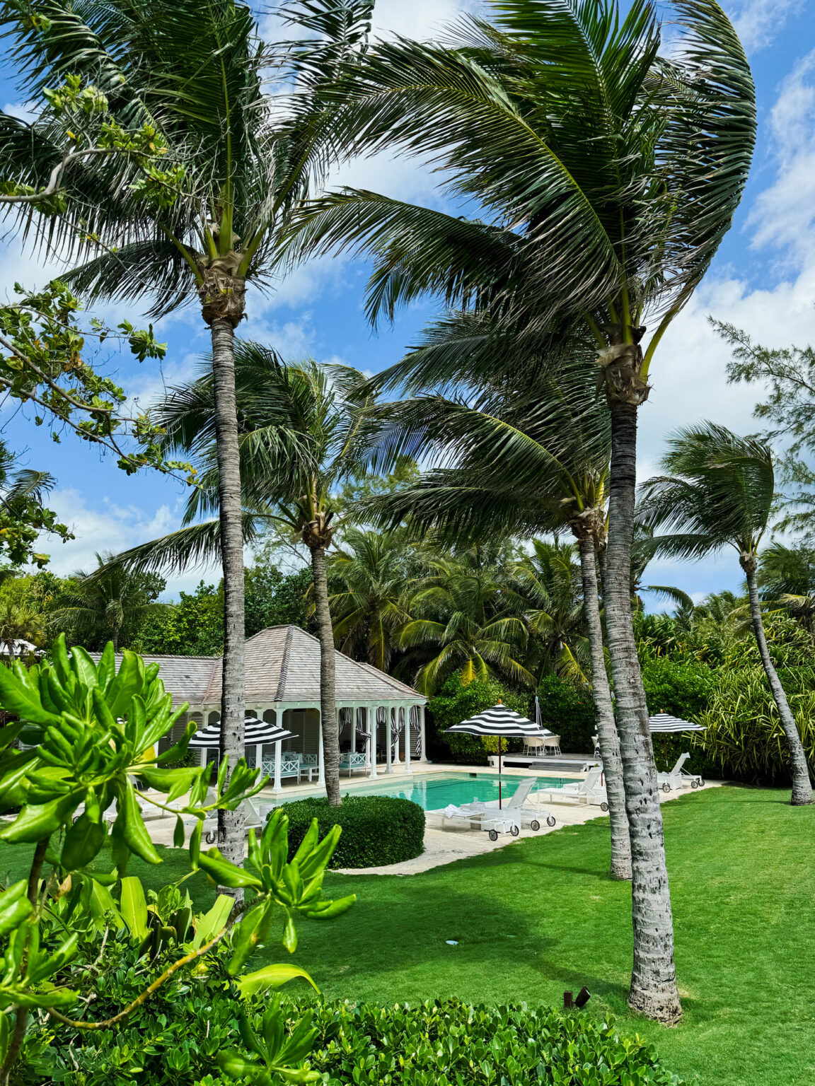 The Ultimate Jetset Guide to Harbour Island, Bahamas - JetsetChristina
